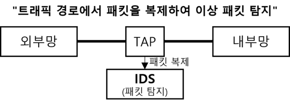 IPS (Intrusion Prevention System)